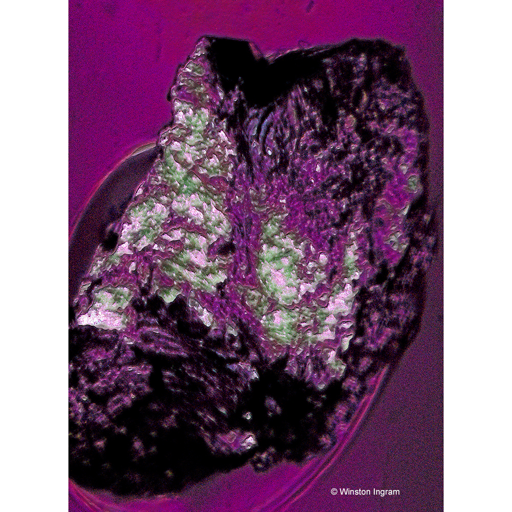 Elements of Periodic Table under Microscope | Microbus Microscope ...