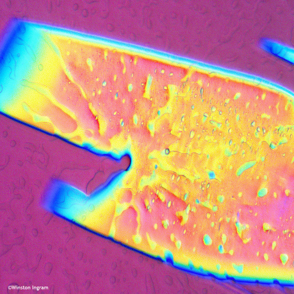 Polarizing Chemicals | Microbus Microscope Educational Website
